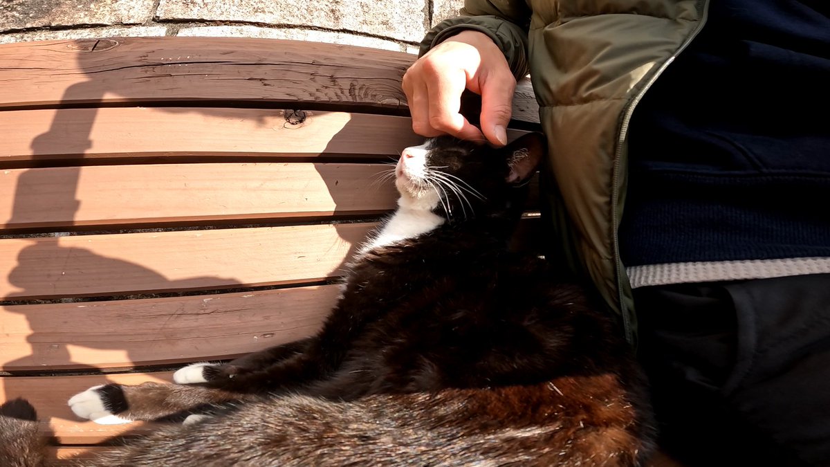 mah (@mah_63n) | Twitter