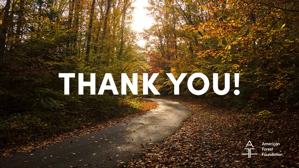 Thank You Images With Nature