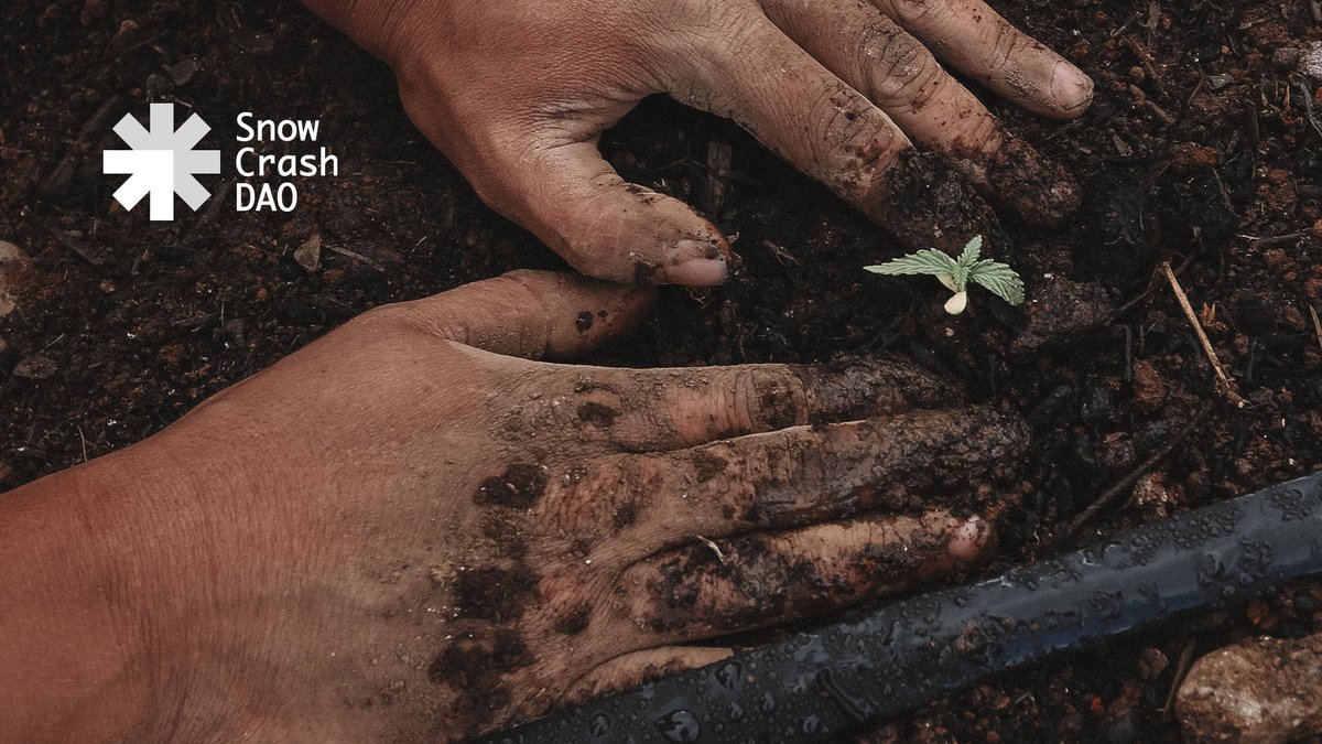 SnowCrash DAO (@SnowCrashDAO) | Twitter