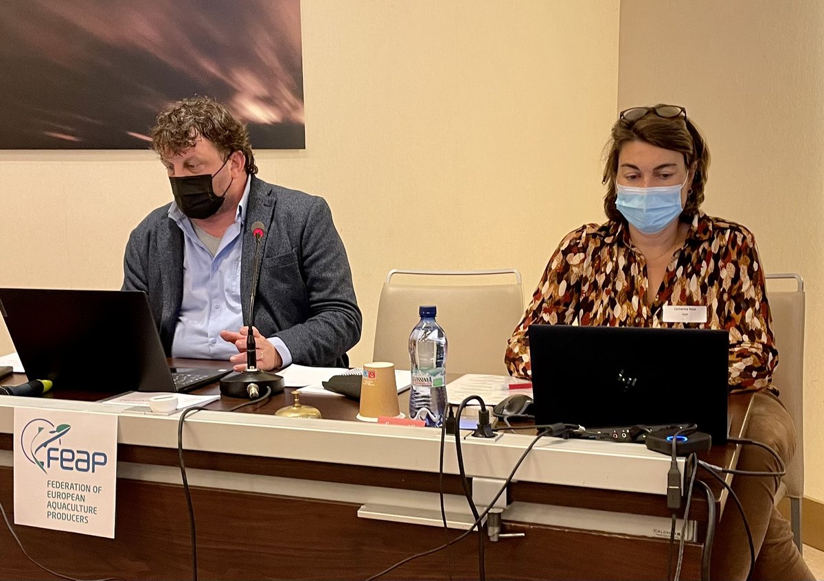 Andrea Fabris (@AndreaFabris8) | Twitter