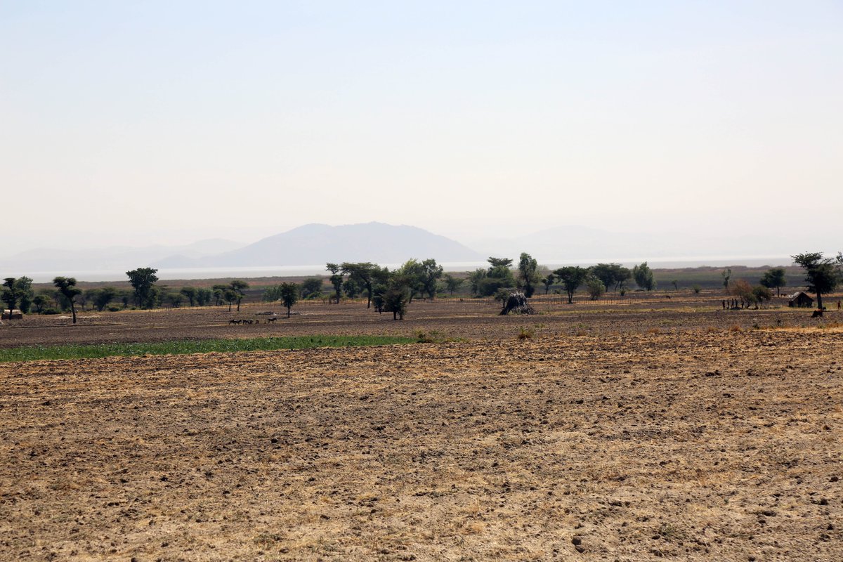 Mandefro Nigussie (@mandefro_niguss) | Twitter