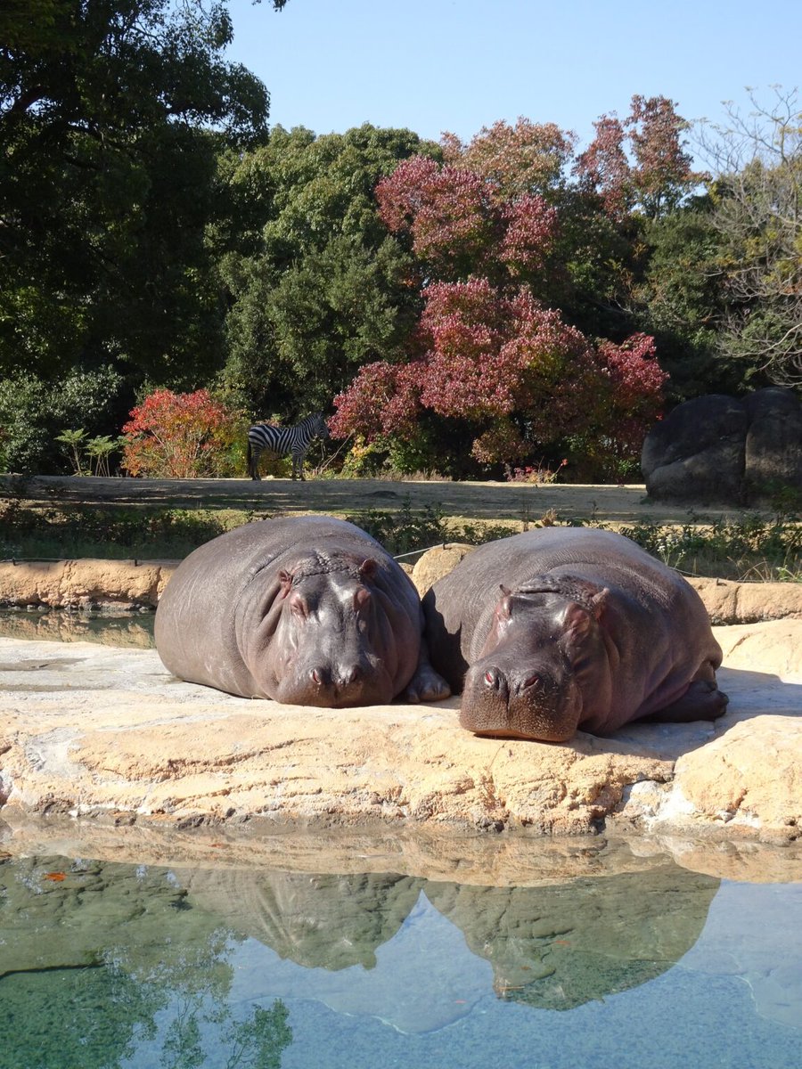 古明16g (@ming16g) | Twitter