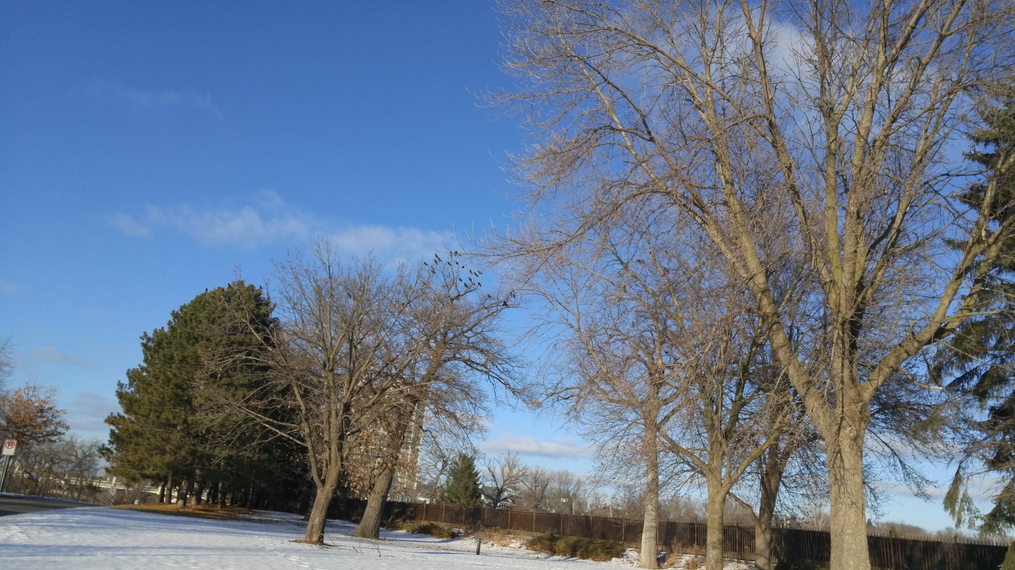 Communication - The Lost Art - John Ploetz Livin Life