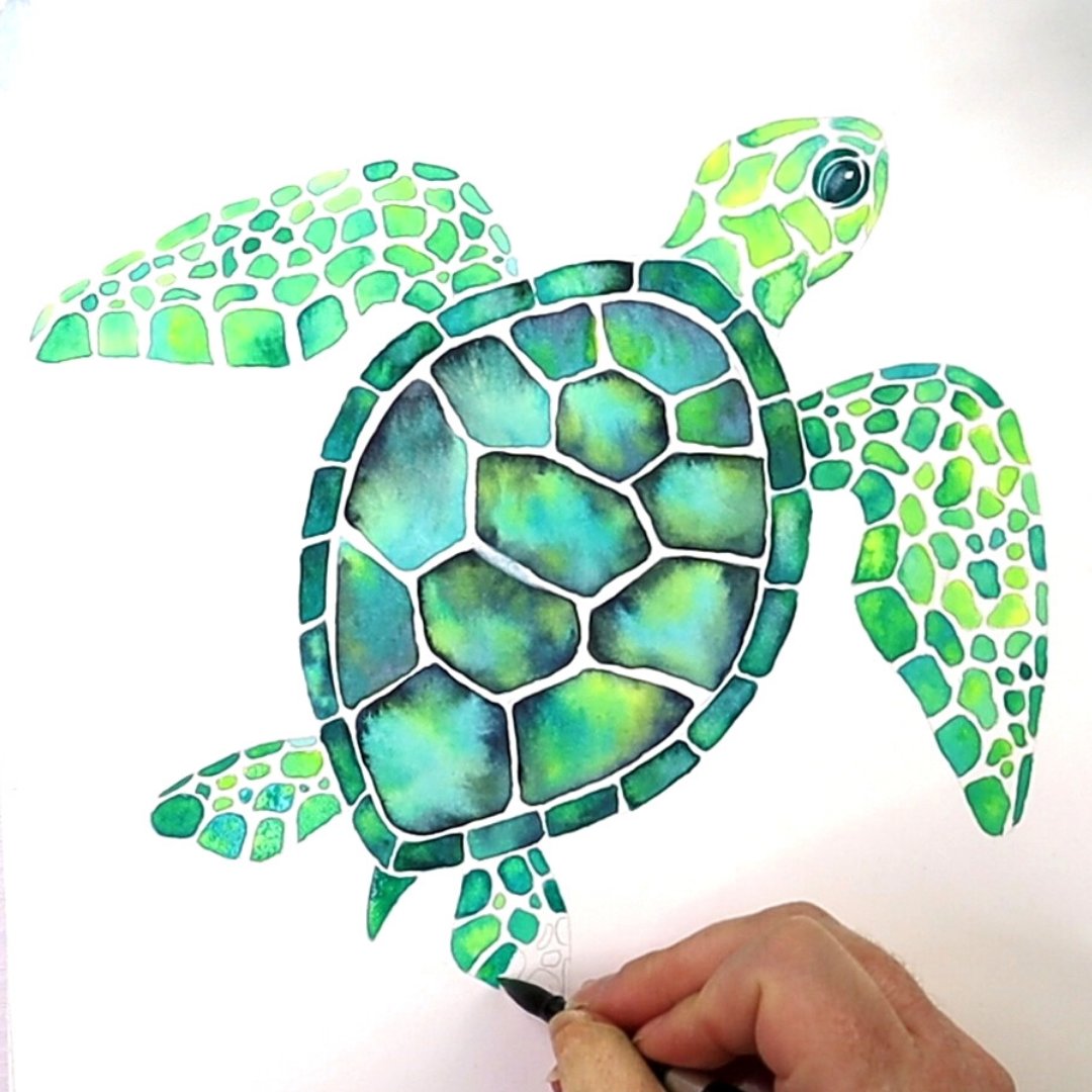 How To Draw A Hawaiian Turtle Step By Step