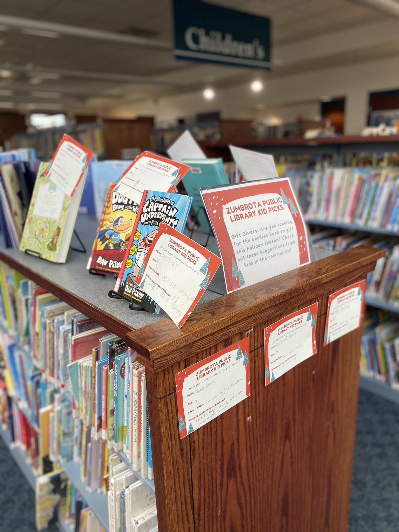 Primary School Library Displays