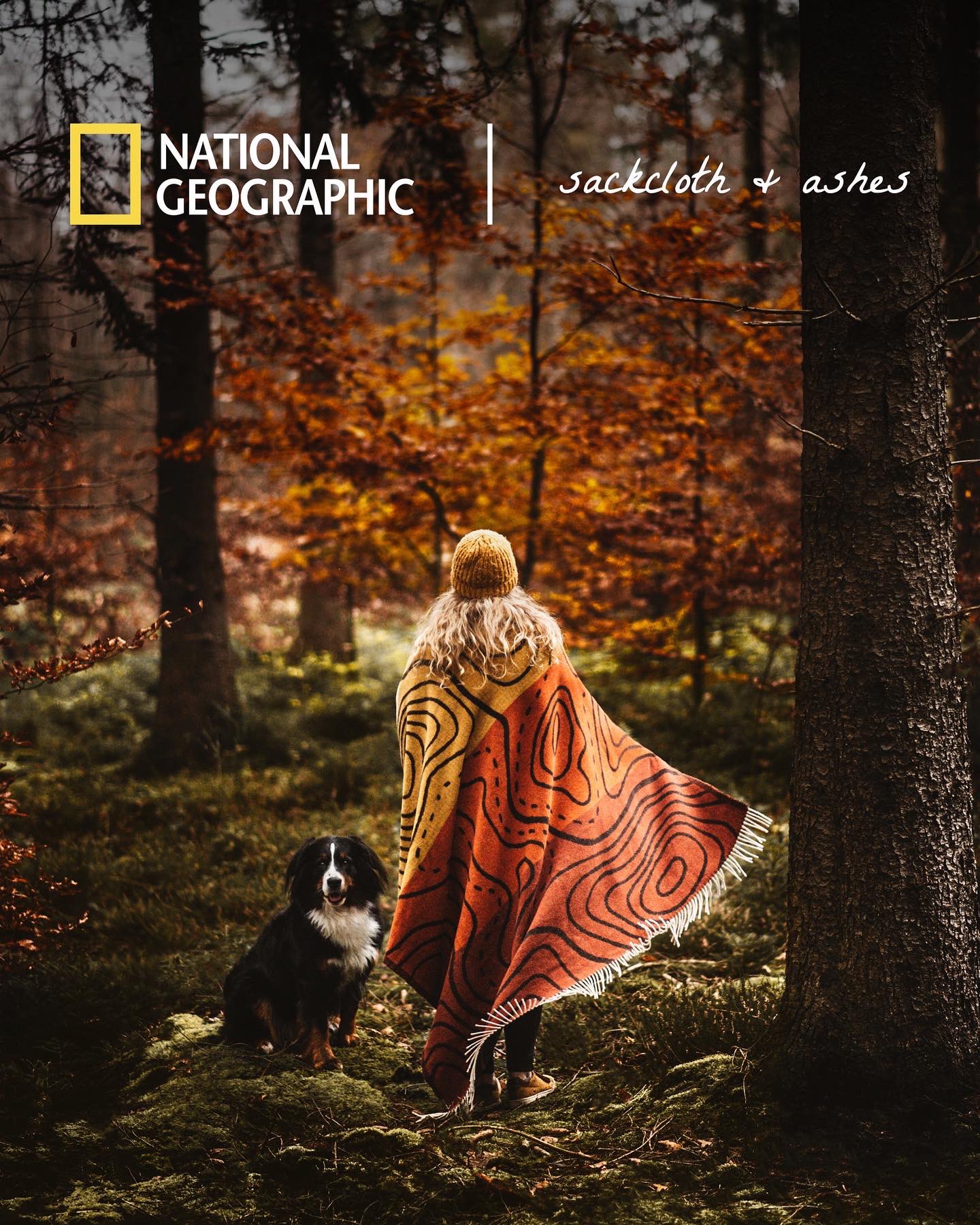 Sackcloth And Ashes Art