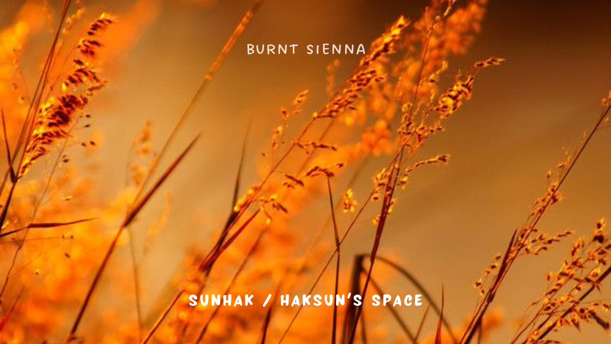 𝗦𝗨𝗡𝗛𝗔𝗞 / 𝗛𝗔𝗞𝗦𝗨𝗡'𝗦 𝗦𝗣𝗔𝗖𝗘 / Twitter