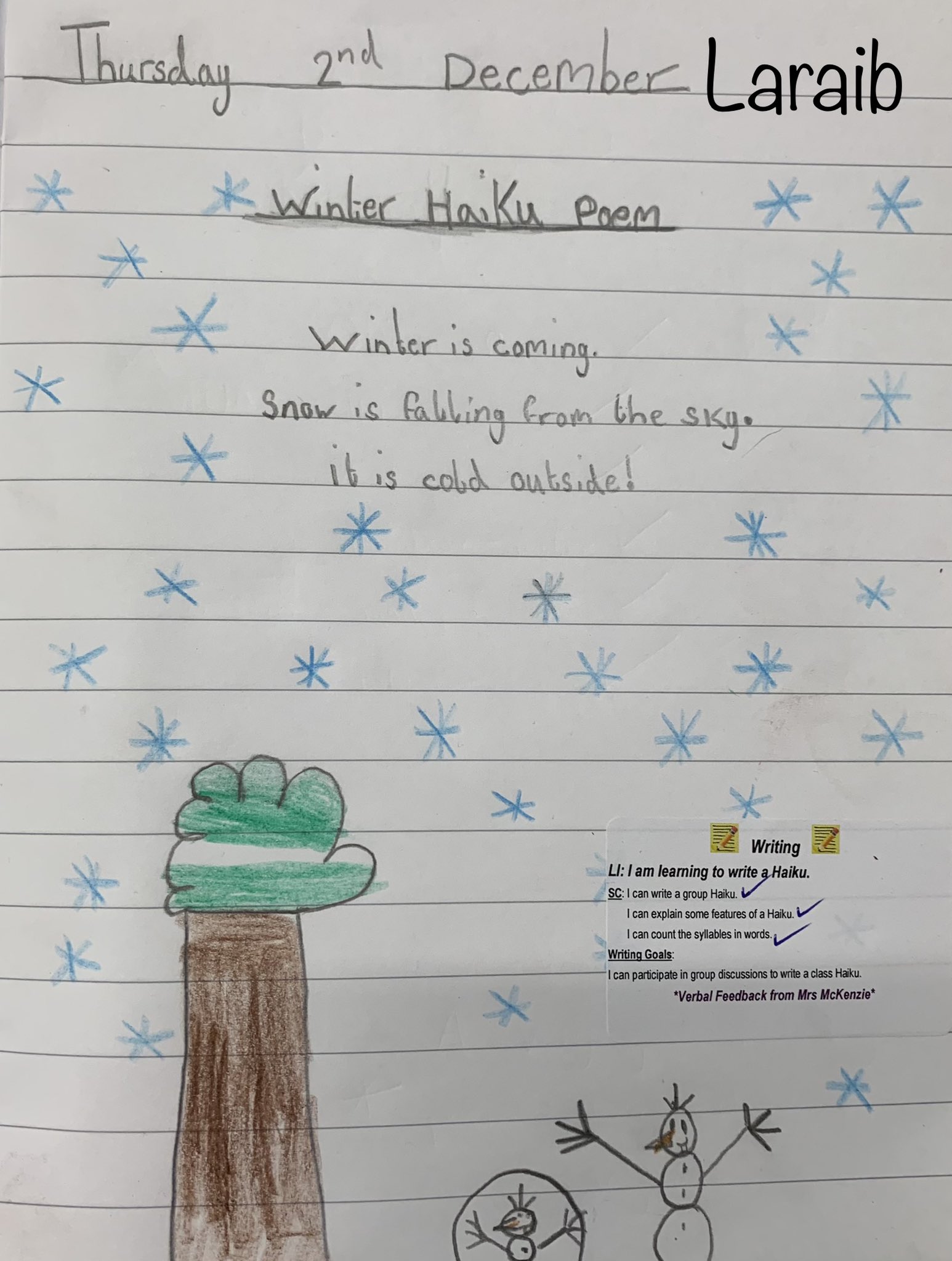 Winter Haiku Poems
