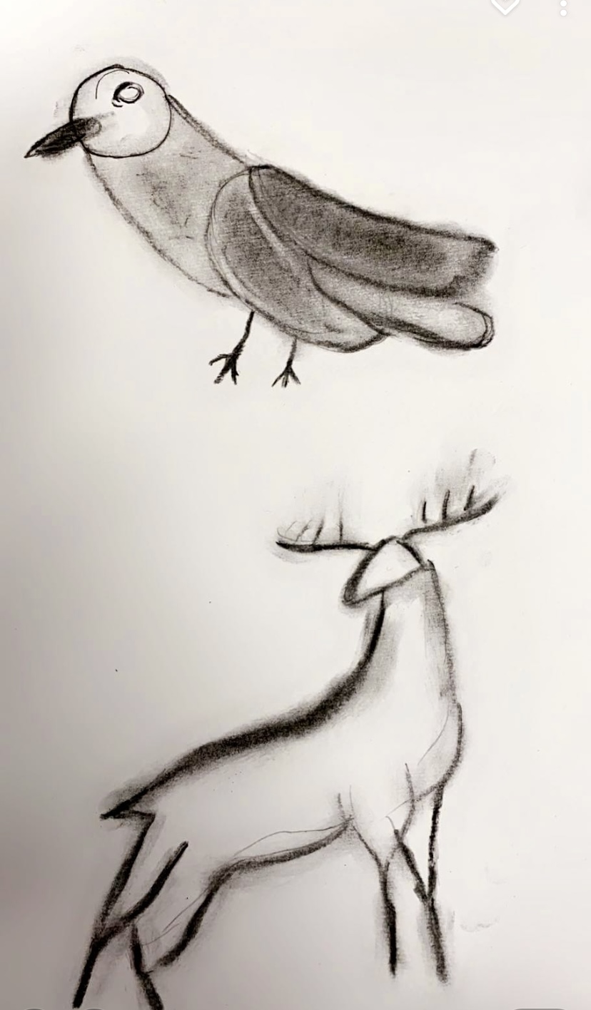 Easy Charcoal Drawing Of Animals