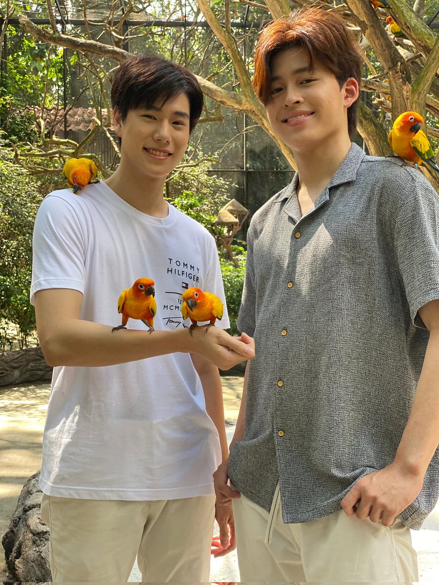 𝐏𝐨𝐮𝐧𝐝 𝐏𝐡𝐮𝐰𝐢𝐧 (@phuwin_pound) | Twitter