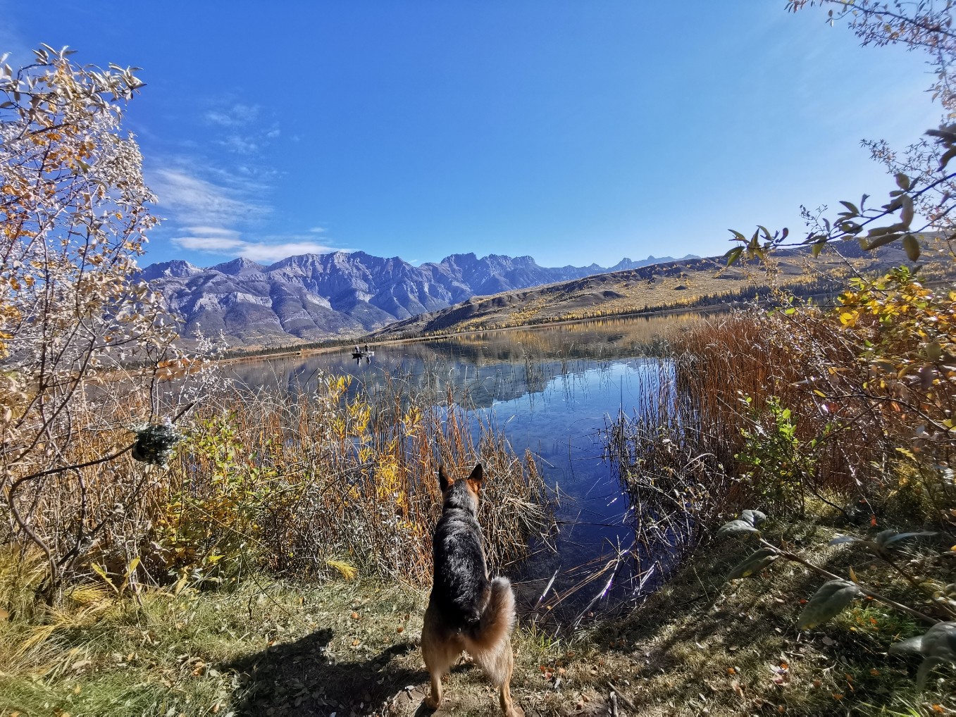 TW Pornstars - Charlie Cruise. Twitter. Missing this. 12:41 AM - 5 Dec 2021