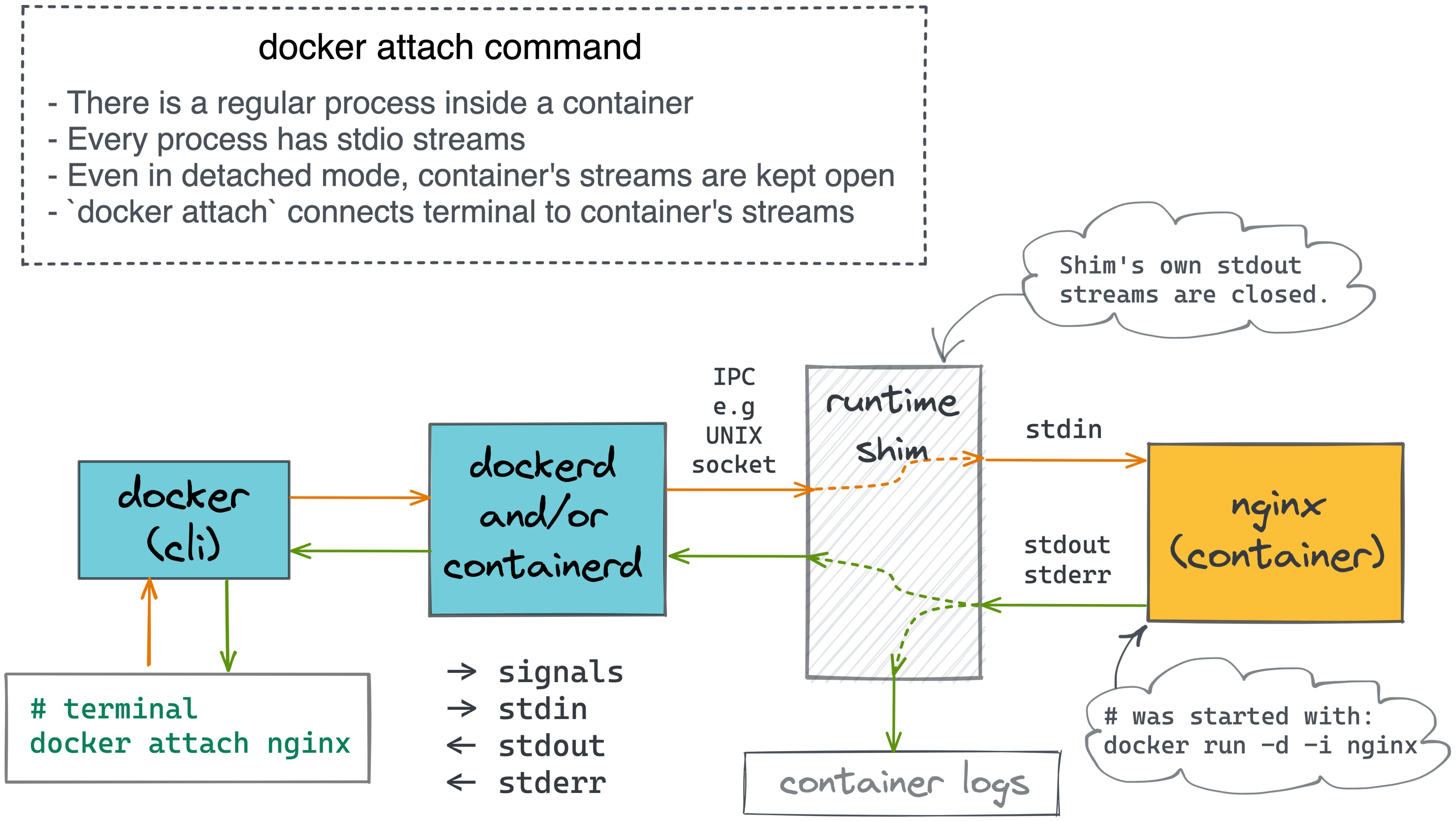 Ivan Velichko On Twitter Containers 101 Docker Attach Vs Exec 1⃣
