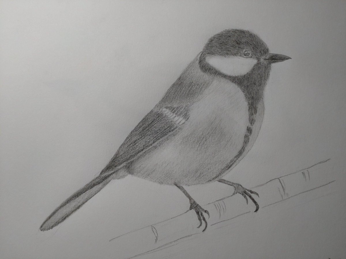 Chen Yu-Chi (@Chen_Yu_Chi) | Twitter