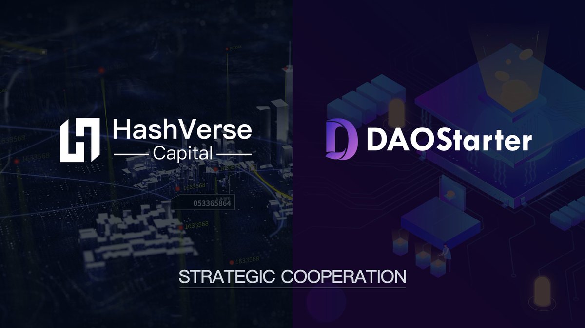 HashVerse Capital (@HashVerse_LTD) | Twitter