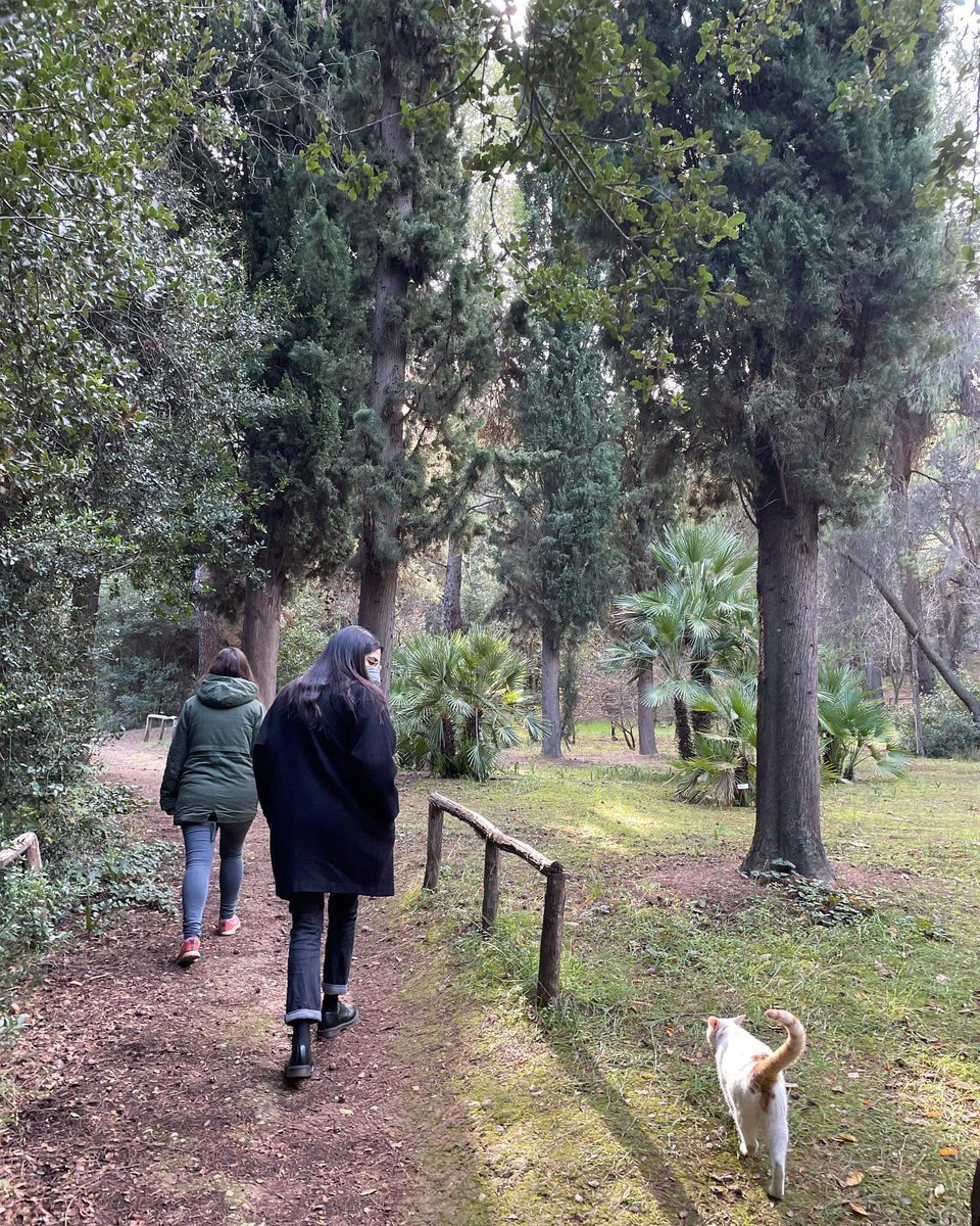 PCAI (@pcai_polygreen) | Twitter