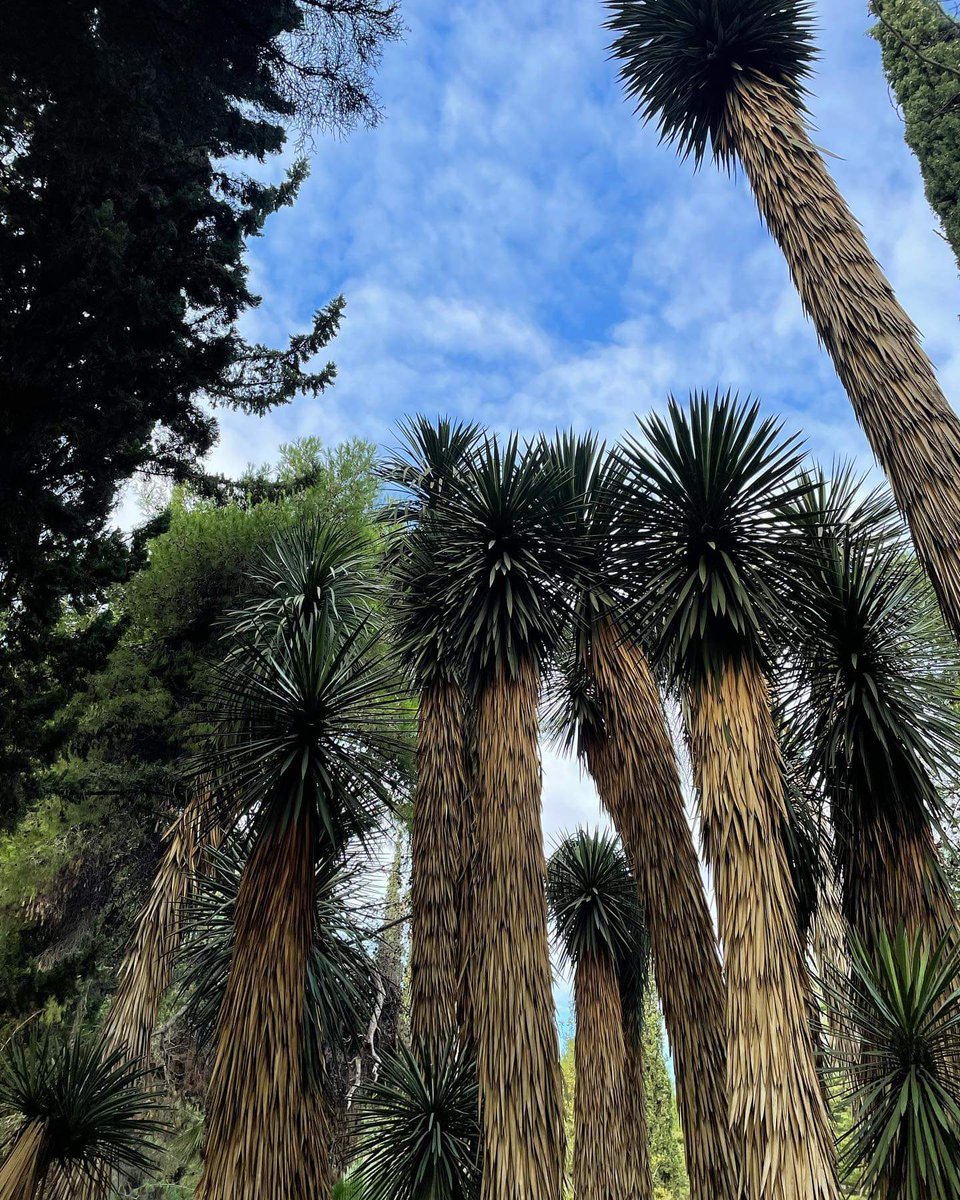 PCAI (@pcai_polygreen) | Twitter