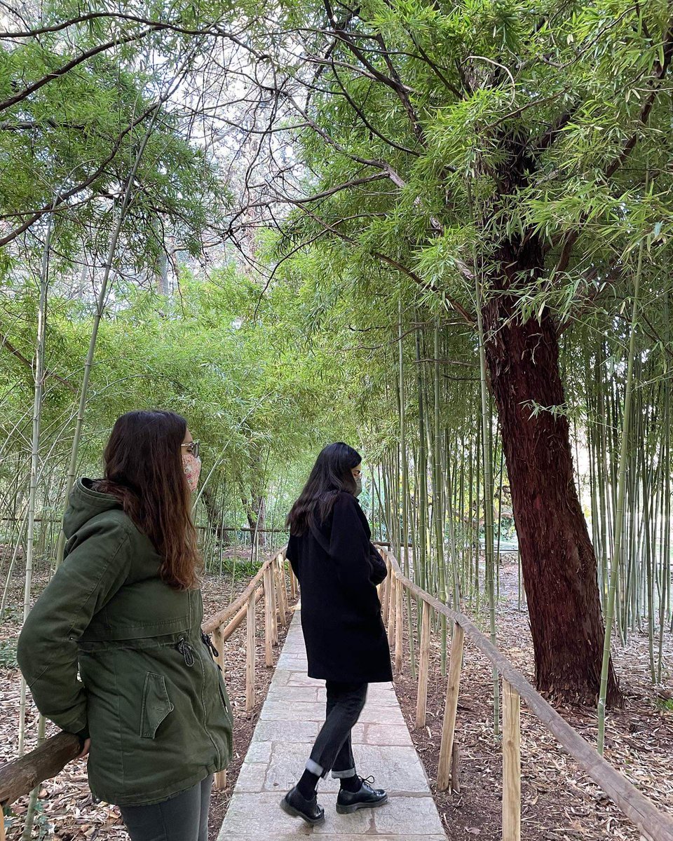 PCAI (@pcai_polygreen) | Twitter