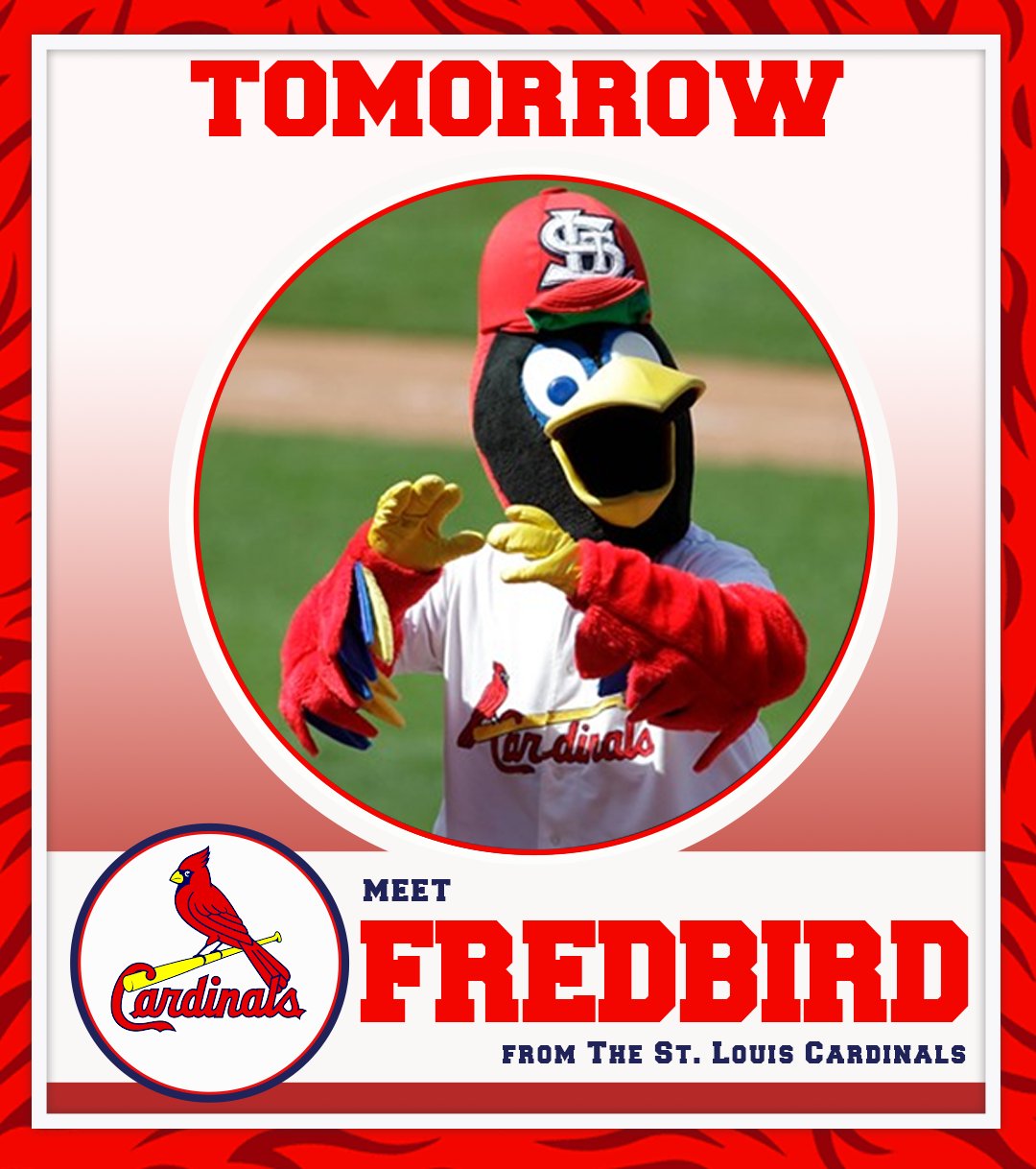 Cardinals Baseball Mascot