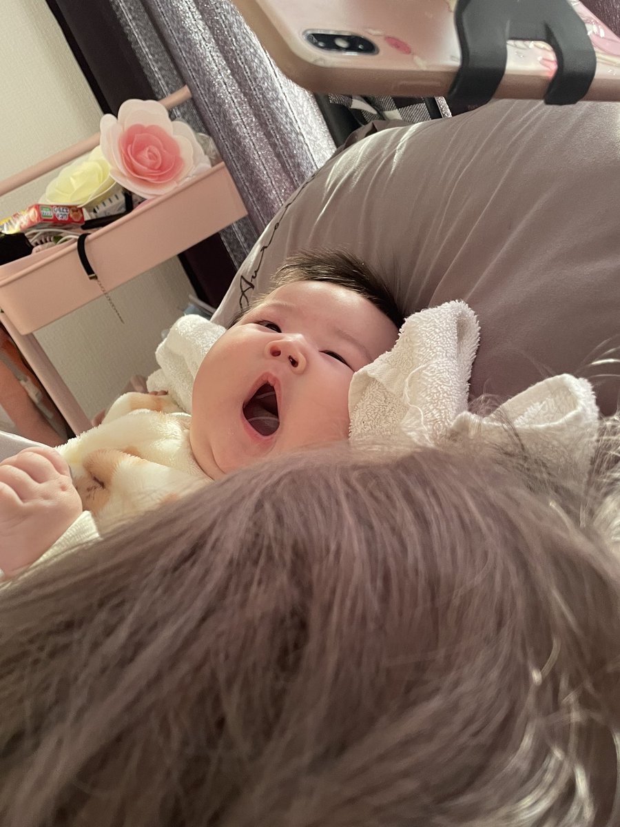 🎀超絶最かわ🎀桜吐あるてゃん (@__Ichigo_milkoo) さんのコスプレ作品まとめ (15 件) - Twoucan