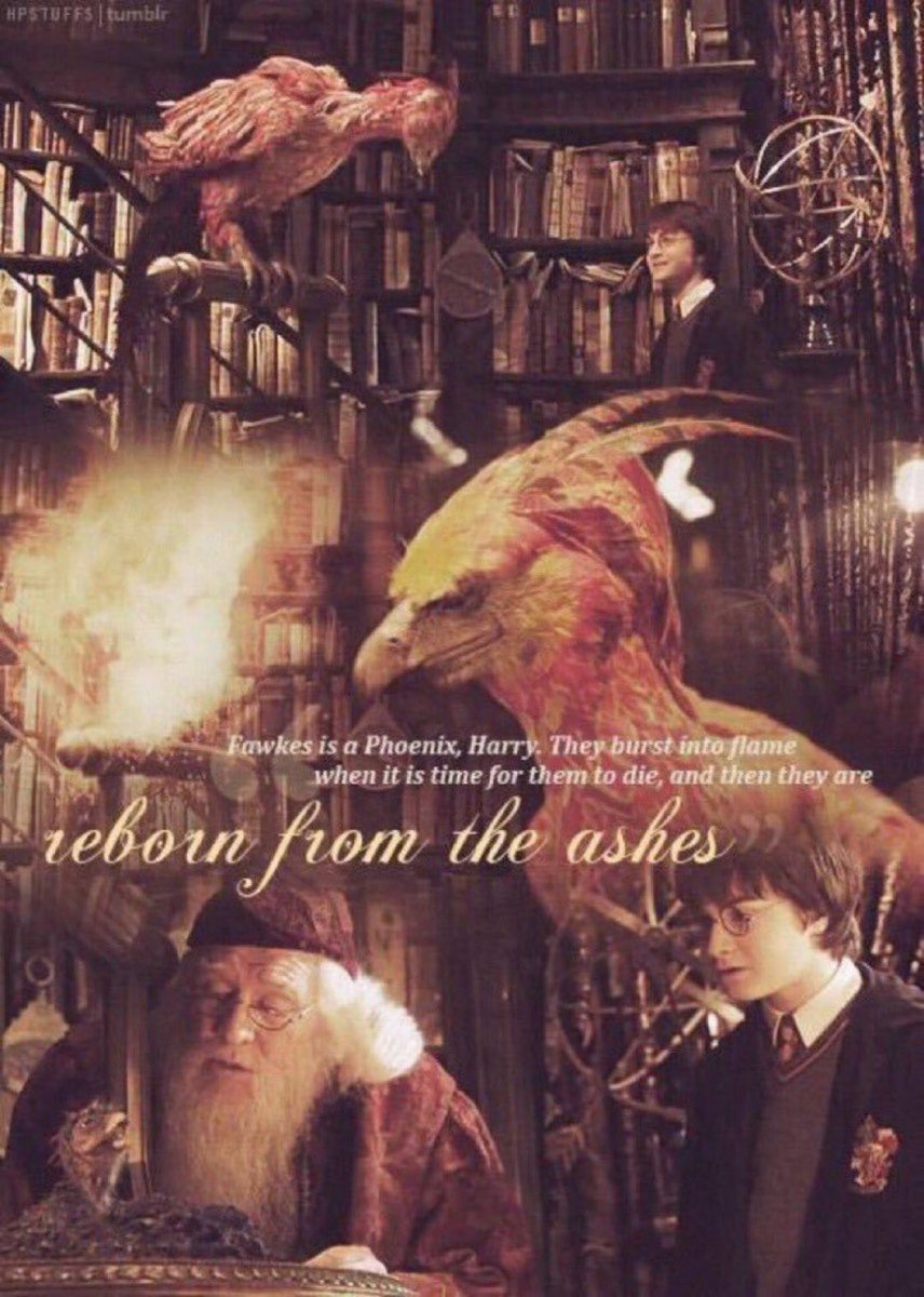 Phoenix Harry Potter Rebirth