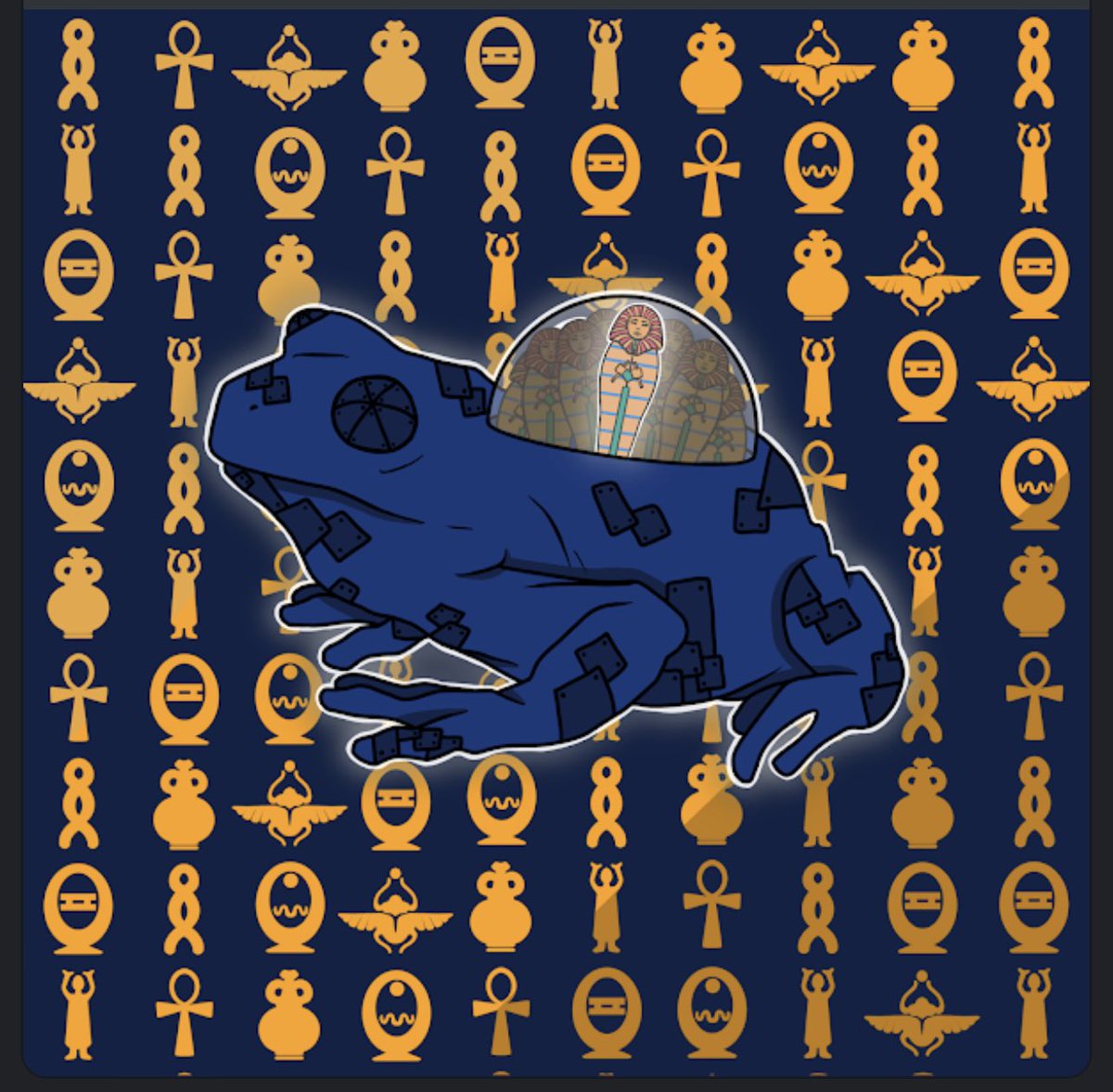 DMT TOADS (@dmttoads) | Twitter