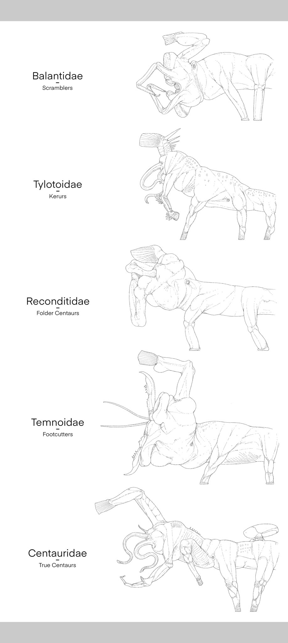Wolf Run Cycle Frames
