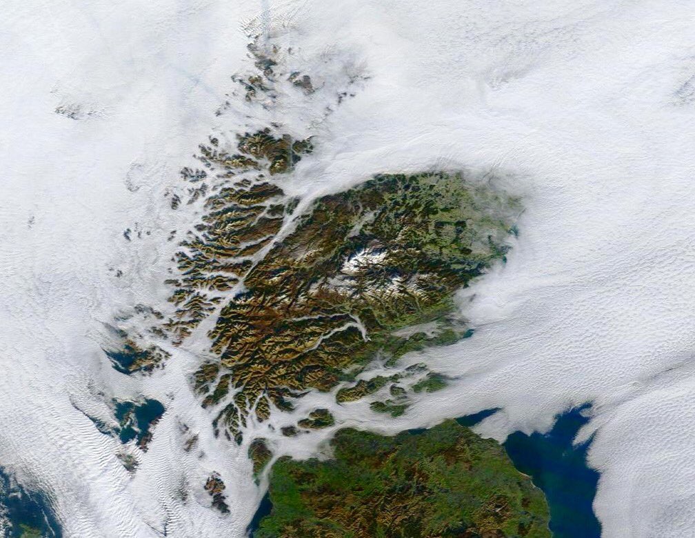 Chris Collins (@chrissy_dev) | Twitter