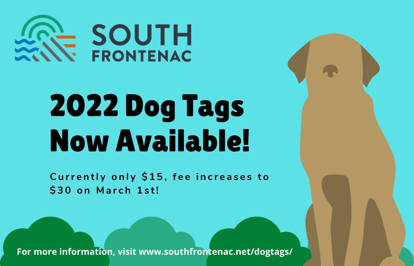 Can You Look Up Dog Tag Numbers