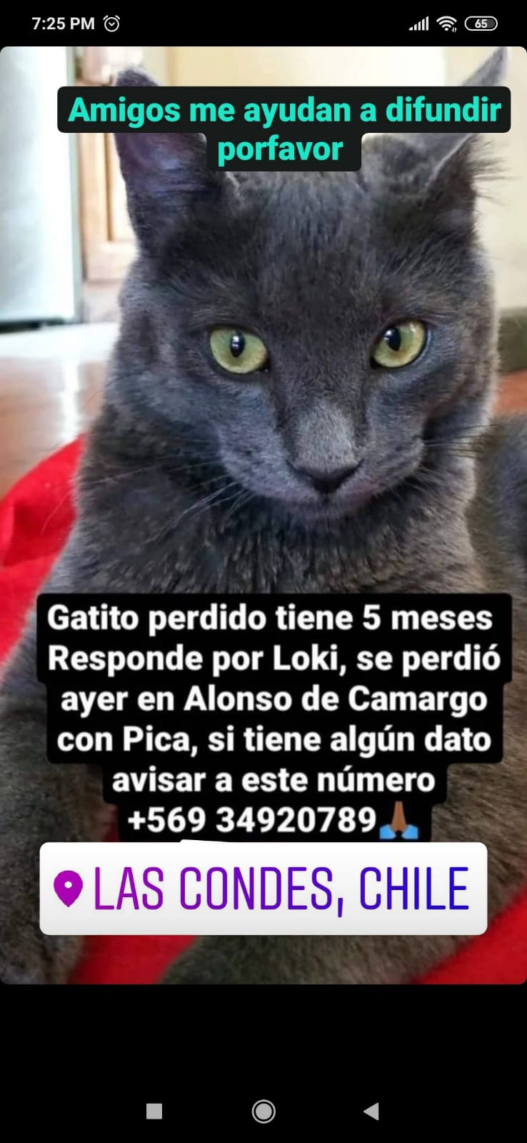 Meme De Amizade Perdida Perdi Muitas Amizades Esse Ano | TikTok