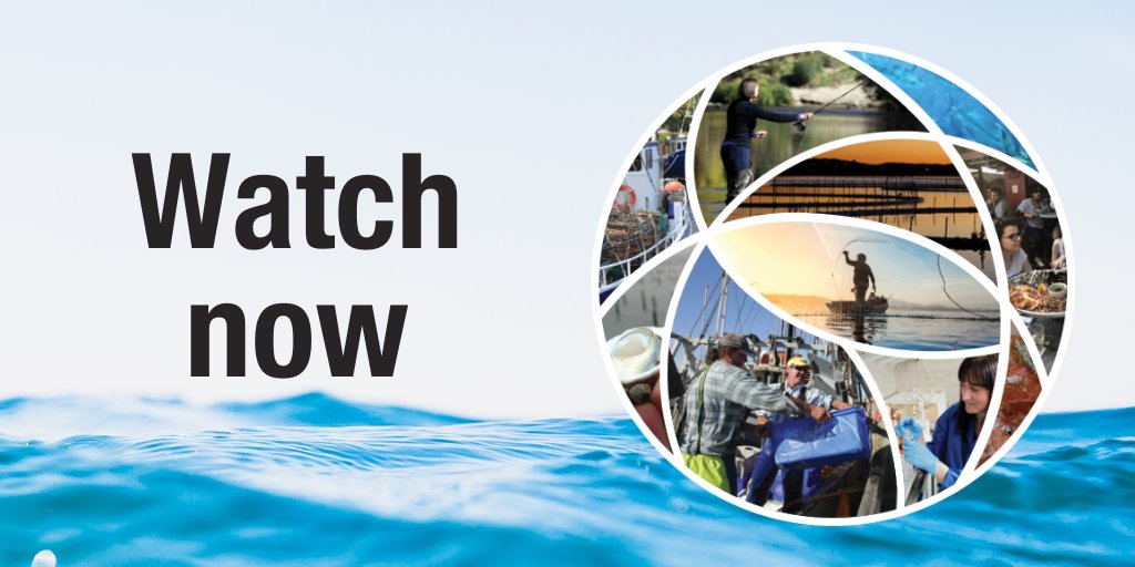 World Fisheries Congress (@world_fisheries) / Twitter World Fisheries Congress (@world_fisheries) / Twitter