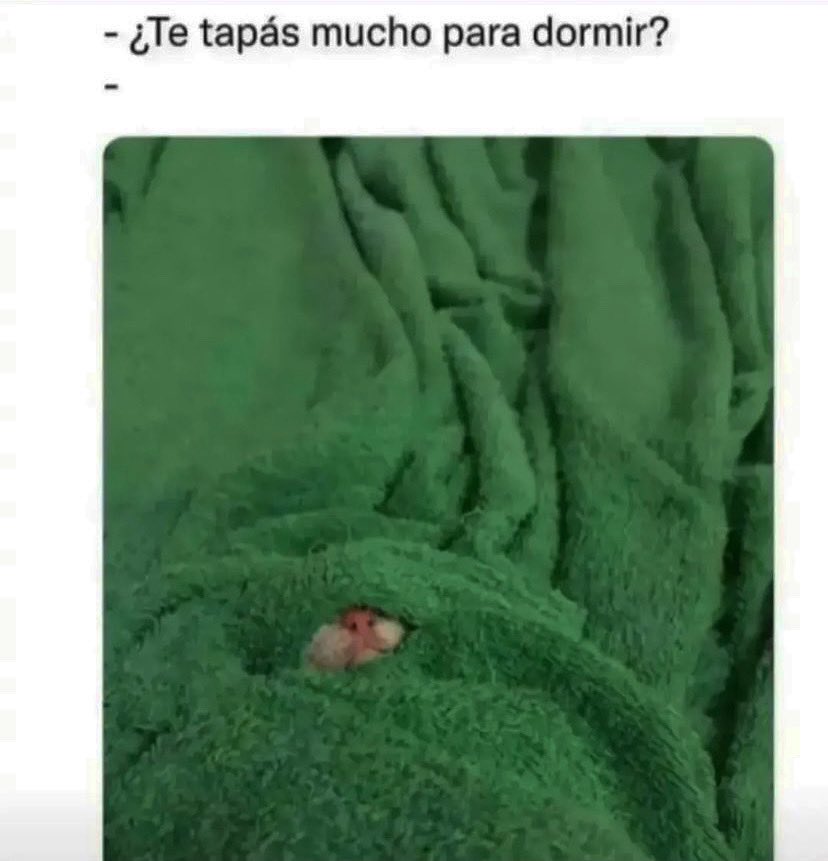 Dormir Mucho Memes