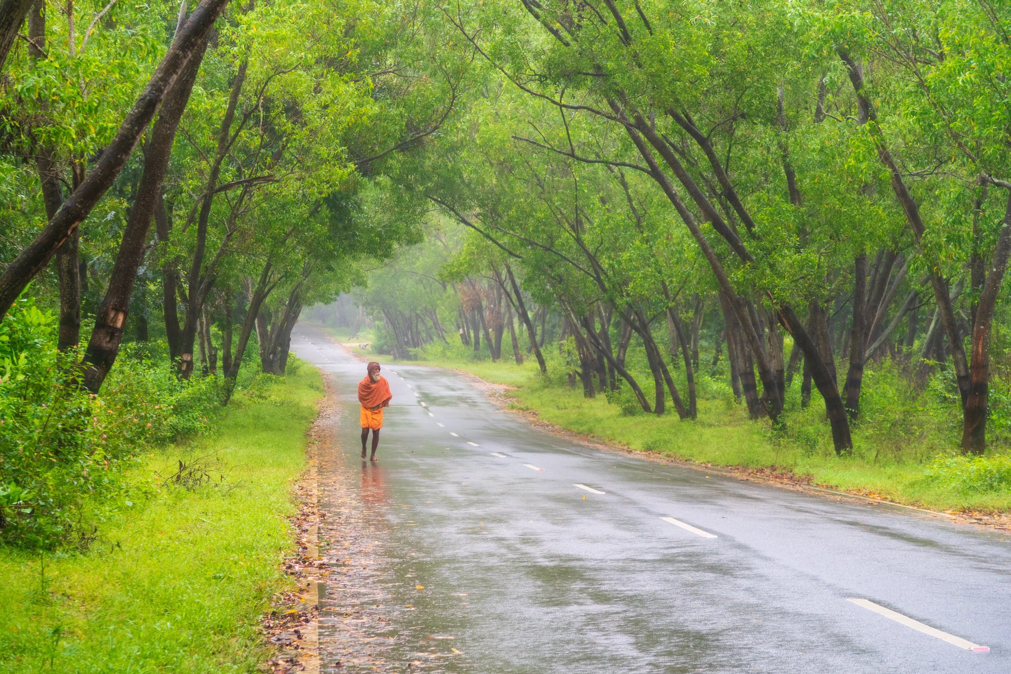 Nonchalantly Walking