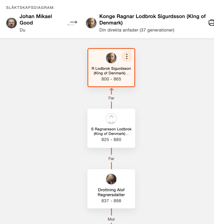 Ragnar Lodbrok Family Tree Family Governance In Practice: Lessons