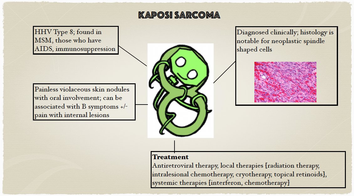Bacillary Angiomatosis Vs Kaposi Sarcoma