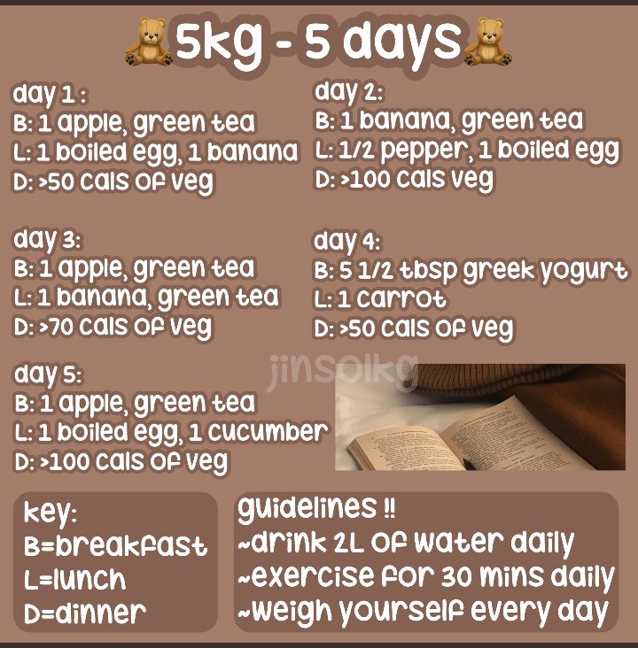 Thinspo Diet