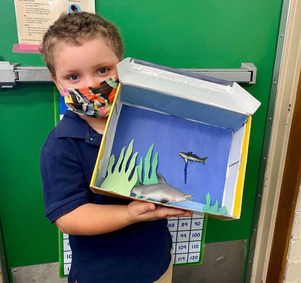 Great White Shark Habitat Diorama