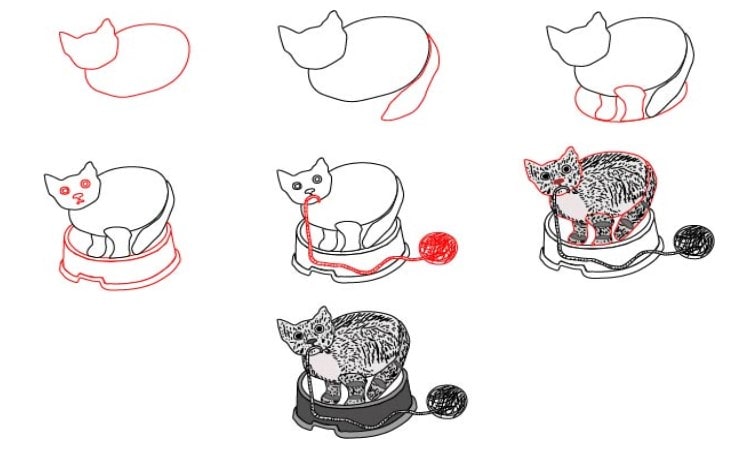 How To Draw A Real Baby Cat