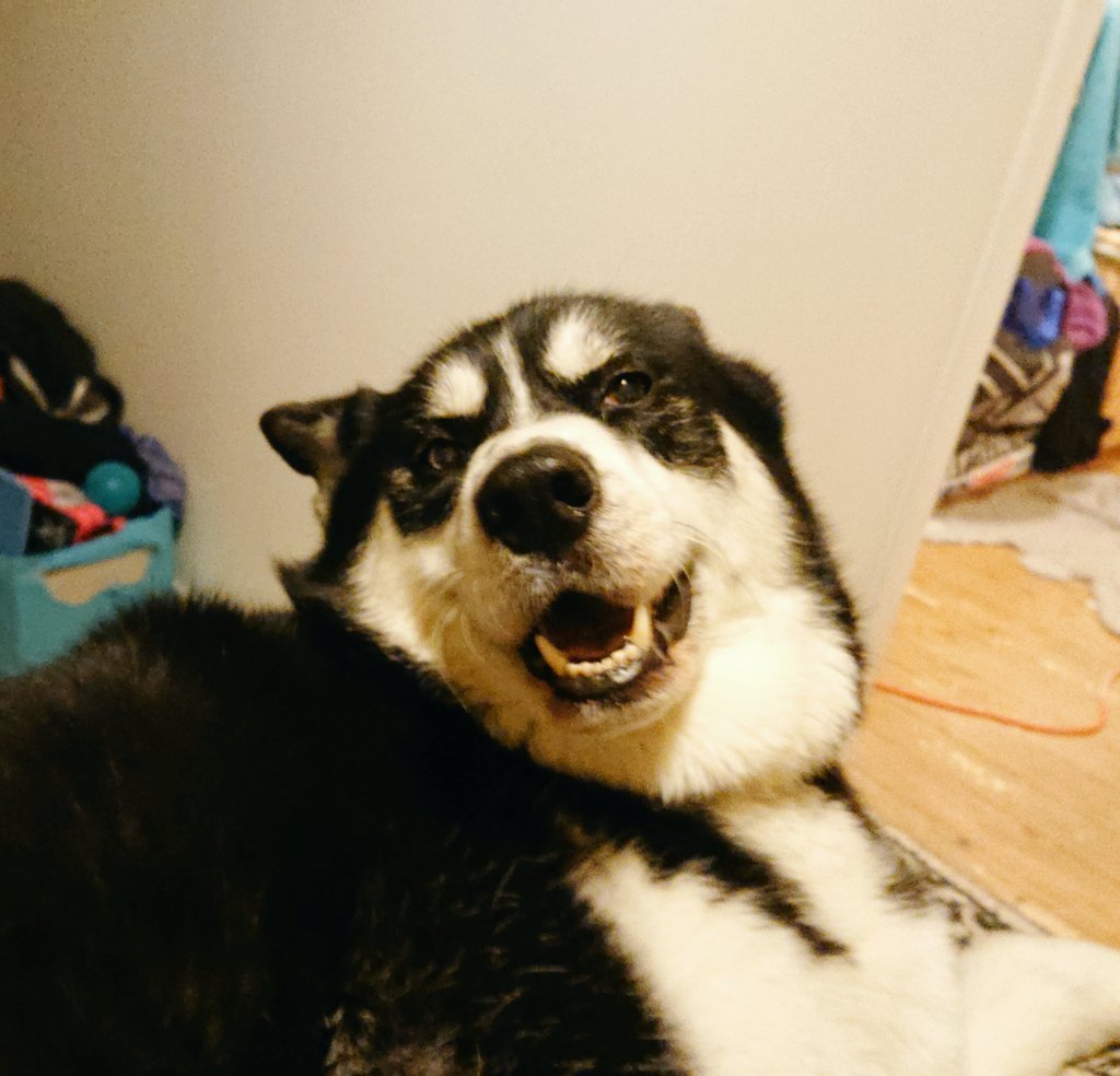 Jano Pants (@JanoPants) | Twitter