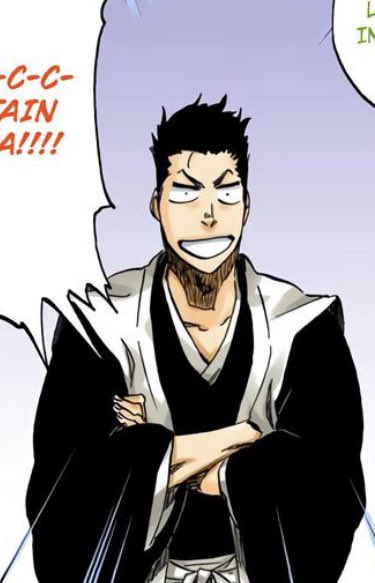 Isshin Kurosaki Captain
