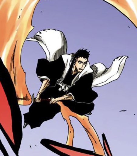 Isshin Kurosaki Captain