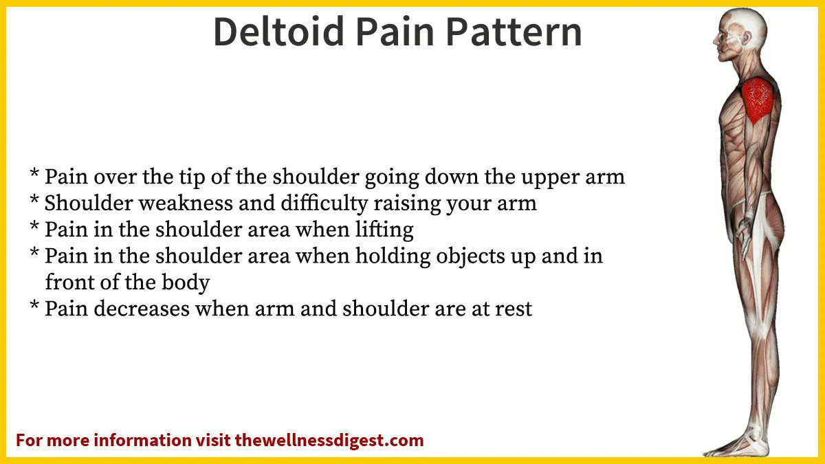 Weak Deltoid Muscle