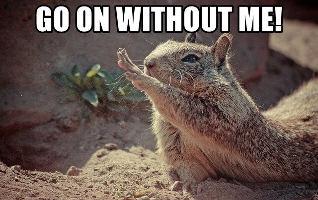 Go On Without Me Meme