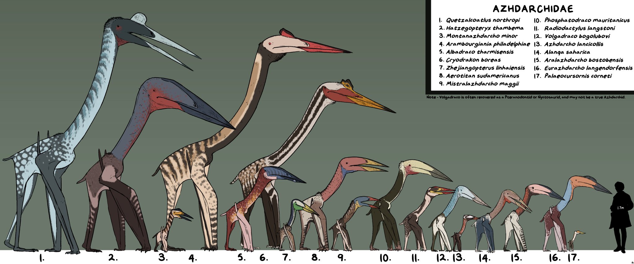 Hatzegopteryx Vs Quetzalcoatlus