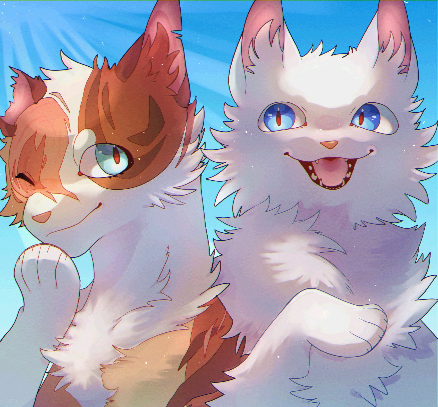 Warrior Cats Brightheart And Cloudtail
