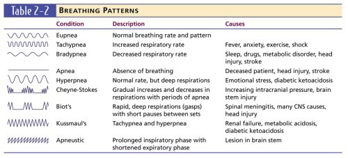 Respiratory Breathing Patterns