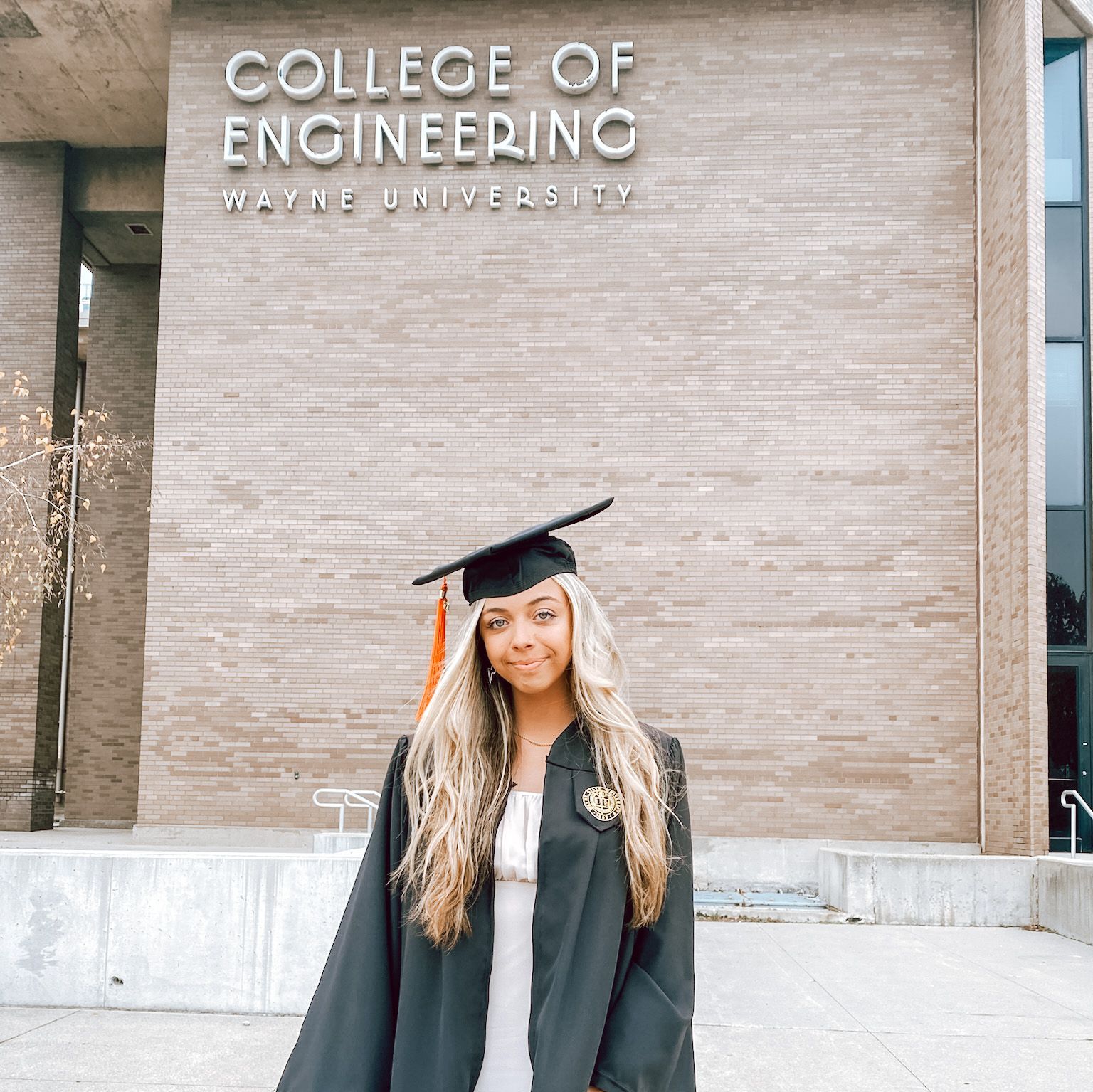 Wayne State University Engineering