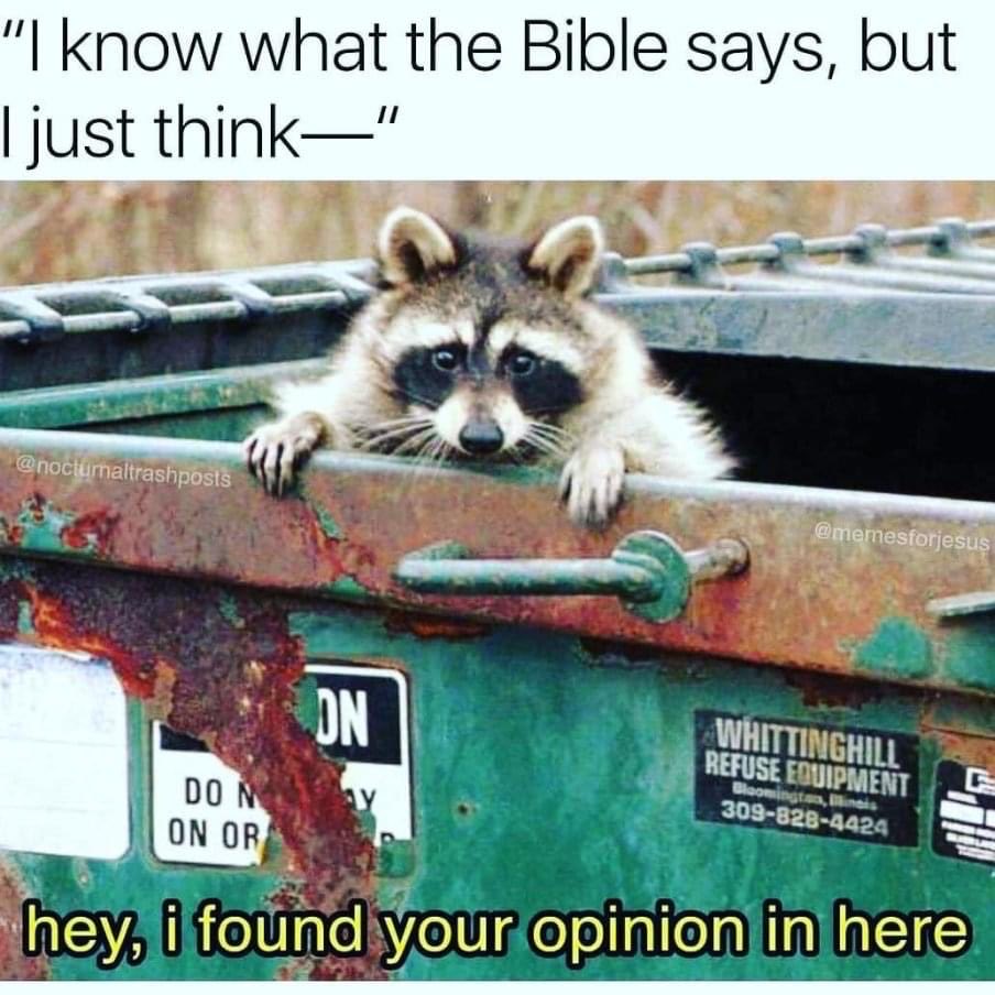 What To Do With Your Opinion Meme