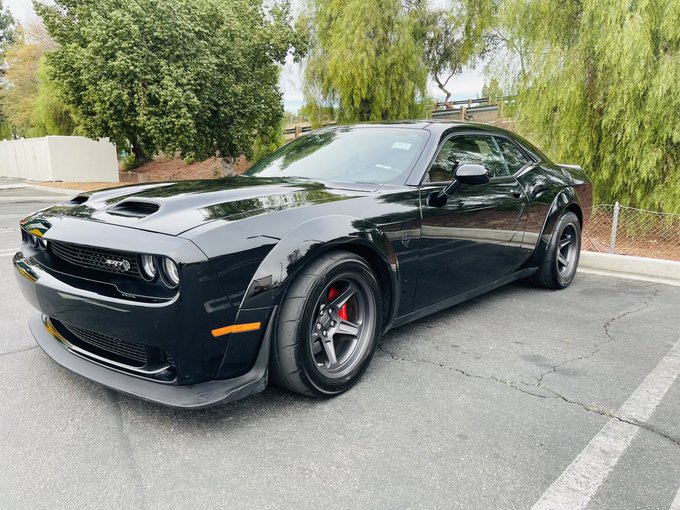 TW Pornstars - DREDD. Pictures and videos from Twitter. Page 27