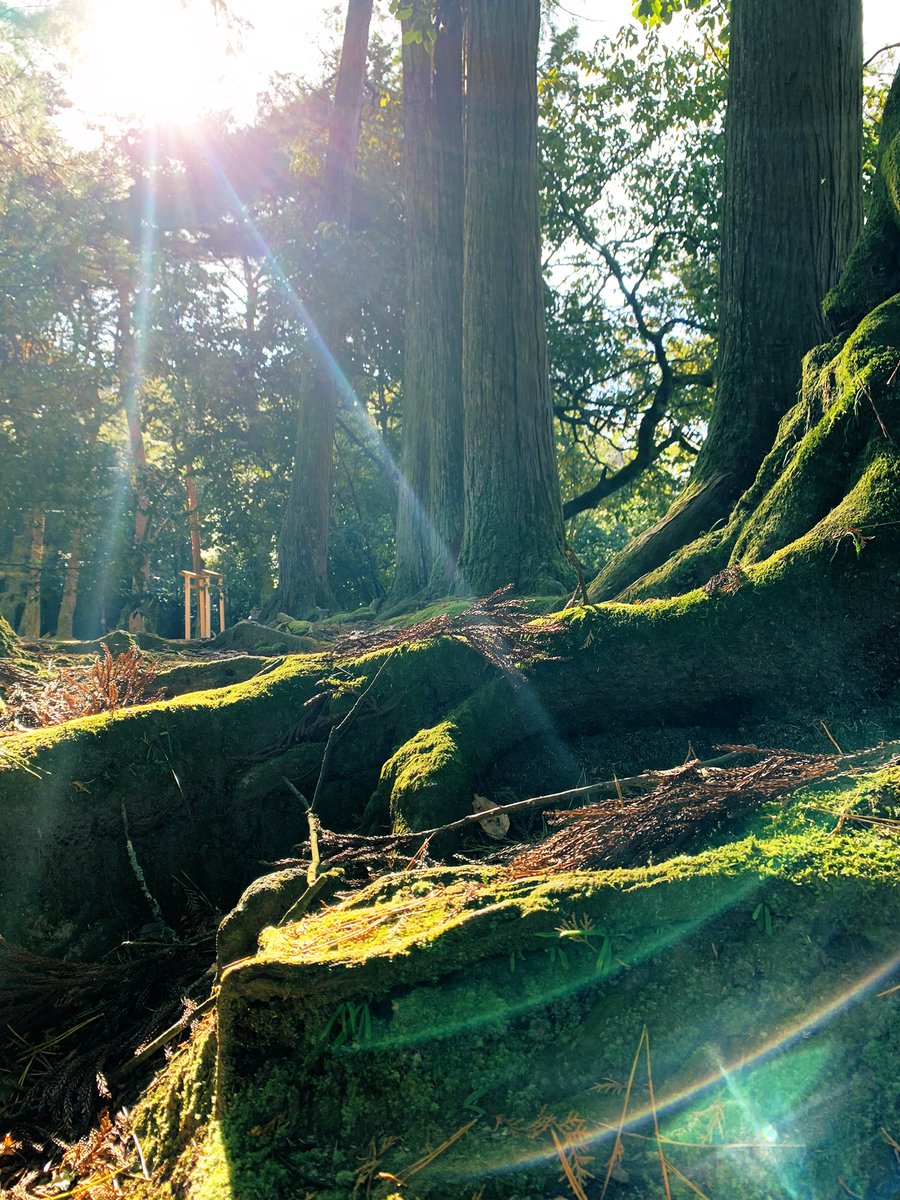 eboshi (@cafe0421eboshi) | Twitter