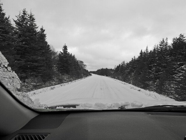 Heading down the Lane on the way home again. Hope you enjoyed some ...